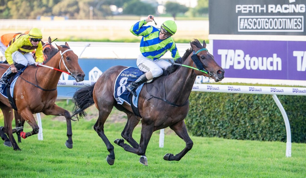 Daniel Cripps and Terry Leighton’s best bets at Ascot on Gold Rush day ...