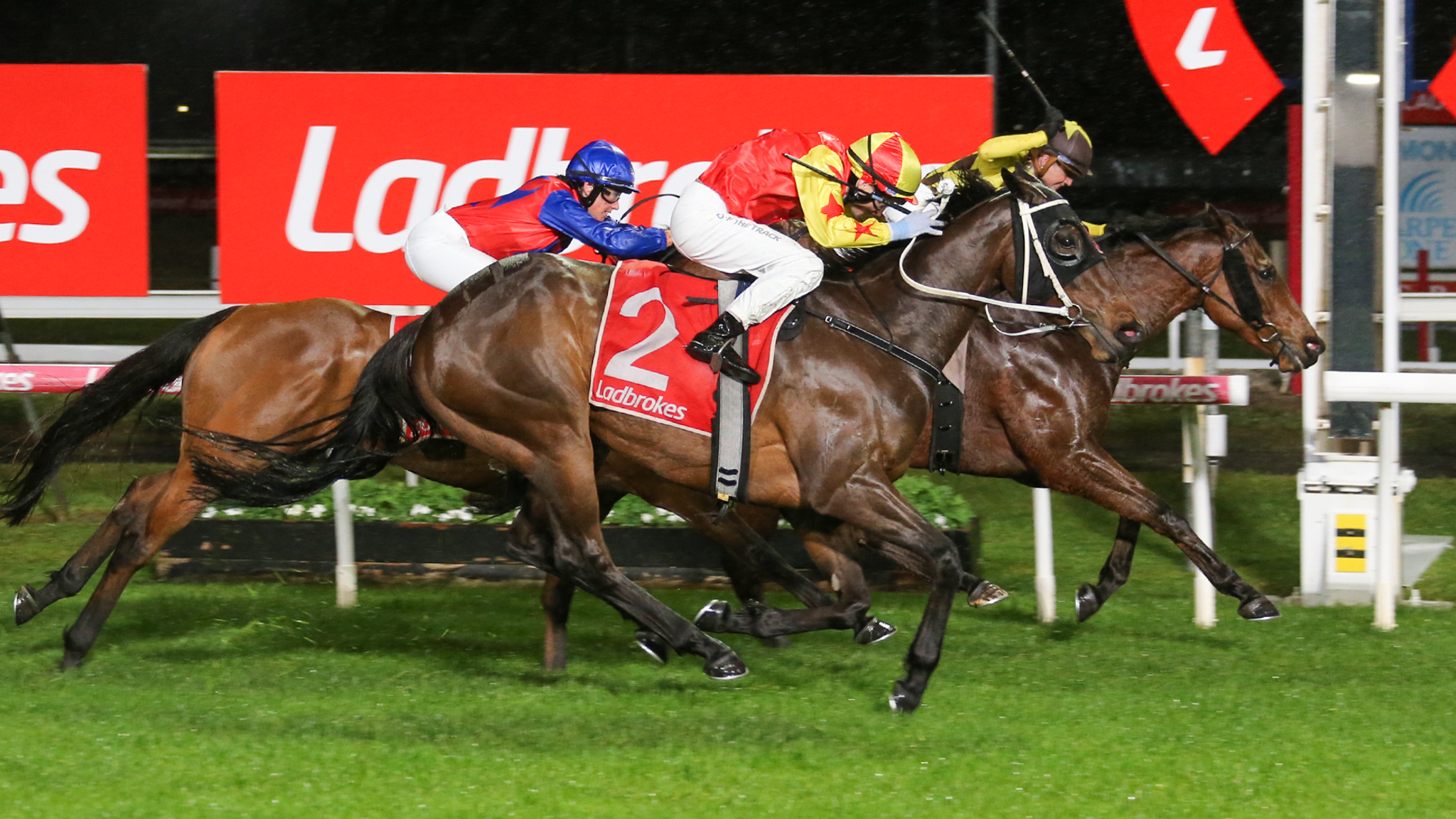 Horse racing: Into the Metaverse: Brakey opts for the back up