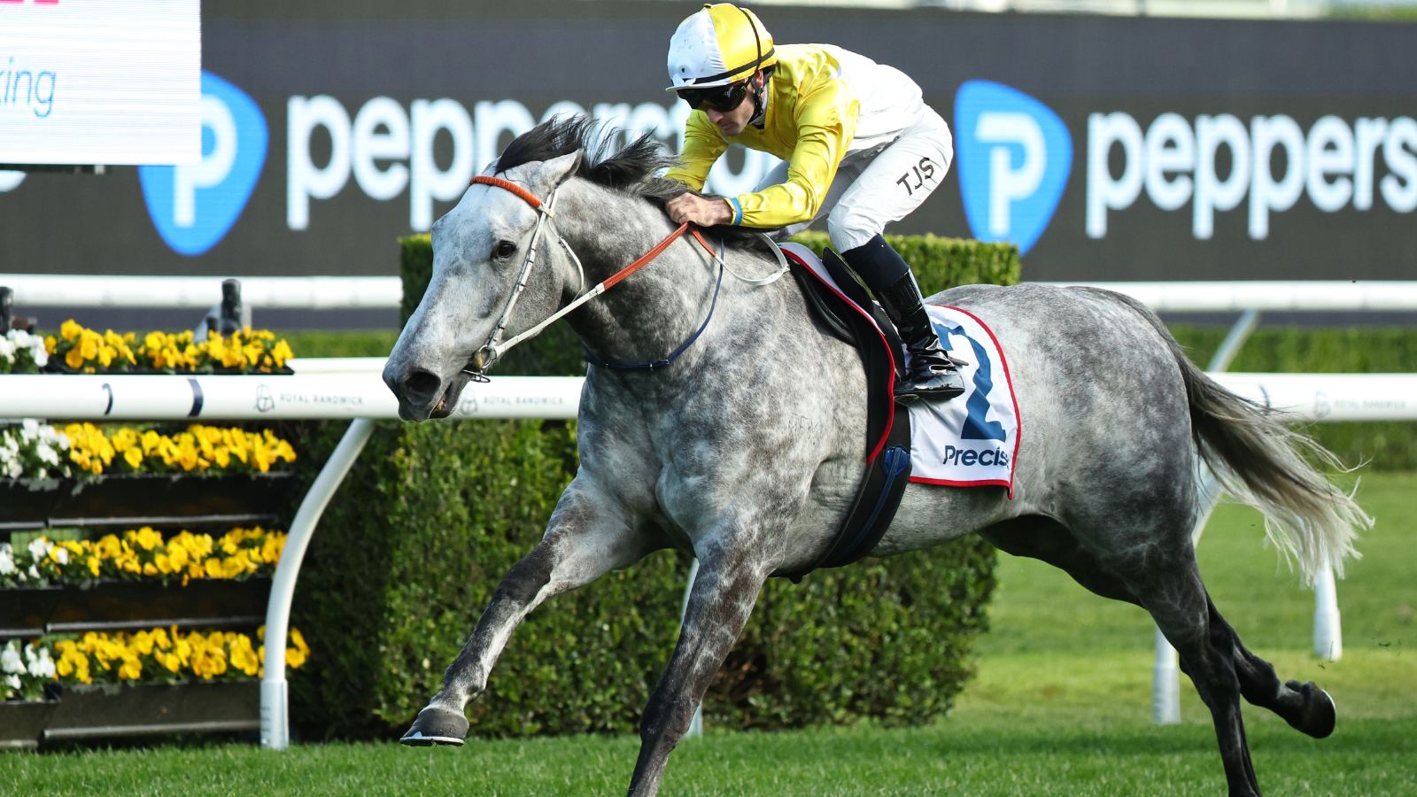 The Everest: "Bring on Ka Ying Rising": Hawkes delivers message to Hong ...