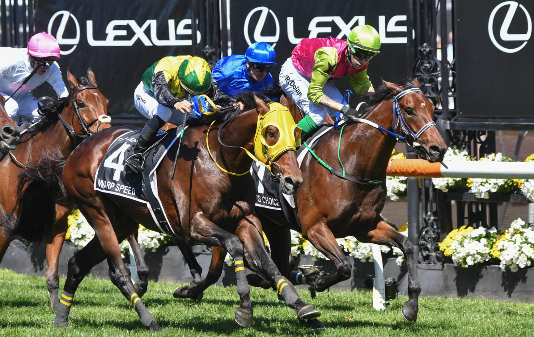 Melbourne Cup stats: Find the winner, Jason Richardson, Lizzie Jelfs