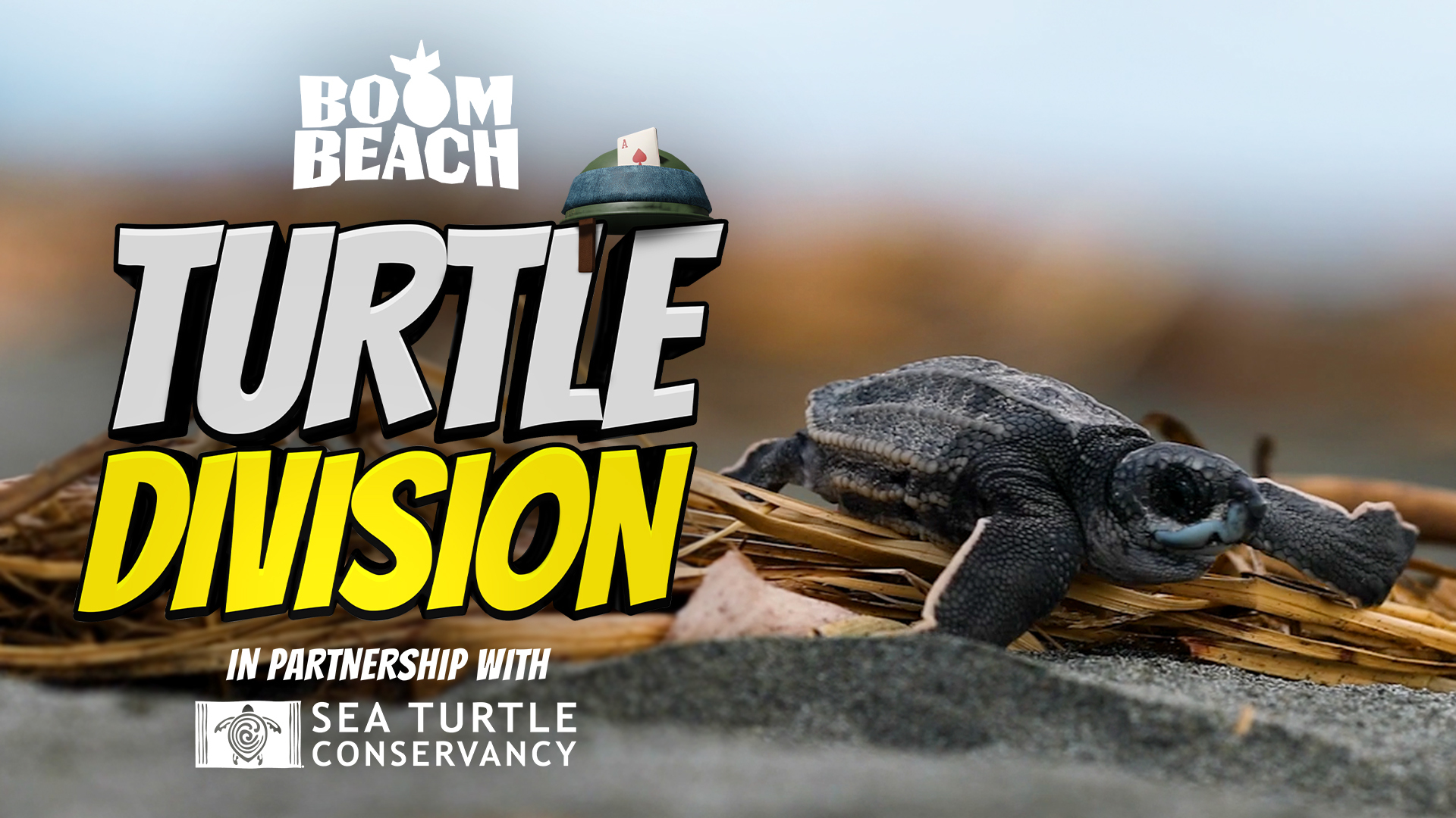Turtle Division: Helping Boom Beach Give Back