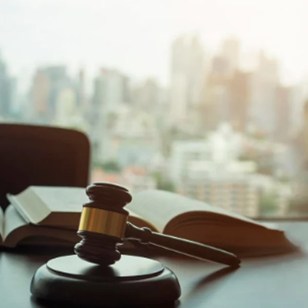 Sakeliga initiates litigation for access to advanced audit reports in ...