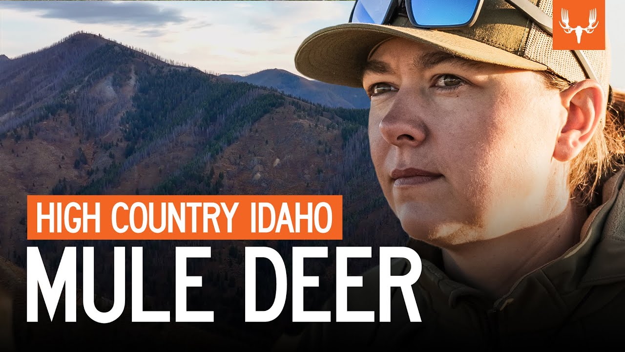 High Country Idaho Mule Deer | Hunting With Jordan Budd Season 1
