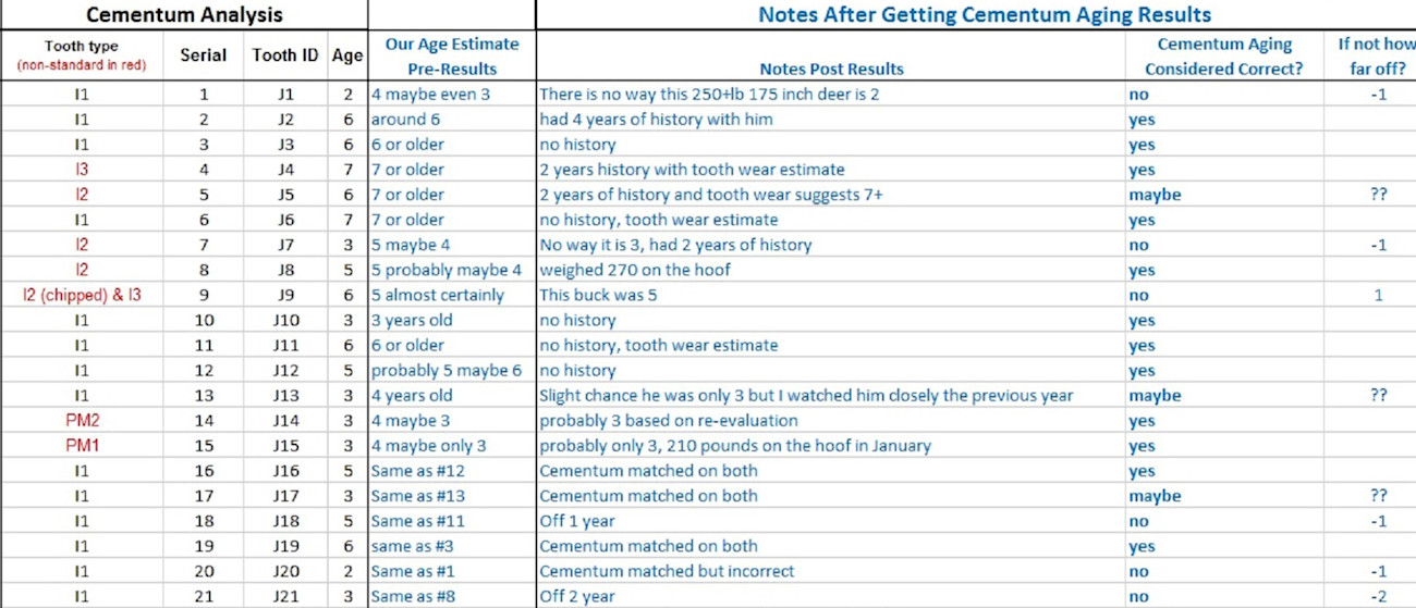 The Big Fat Cementum Aging Tooth Test (How Accurate Is It Really ...