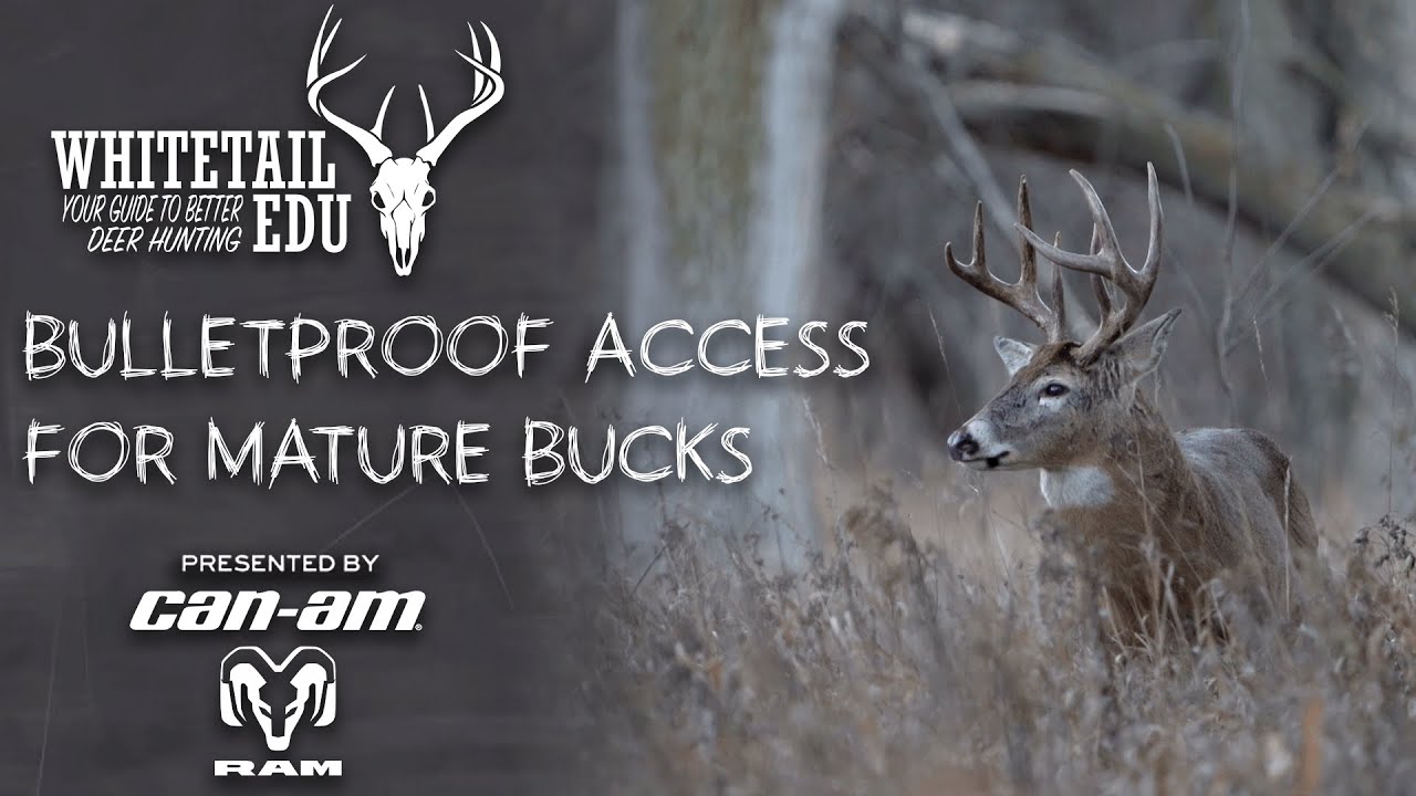 Bulletproof Access For Mature Bucks | Whitetail EDU Season 2