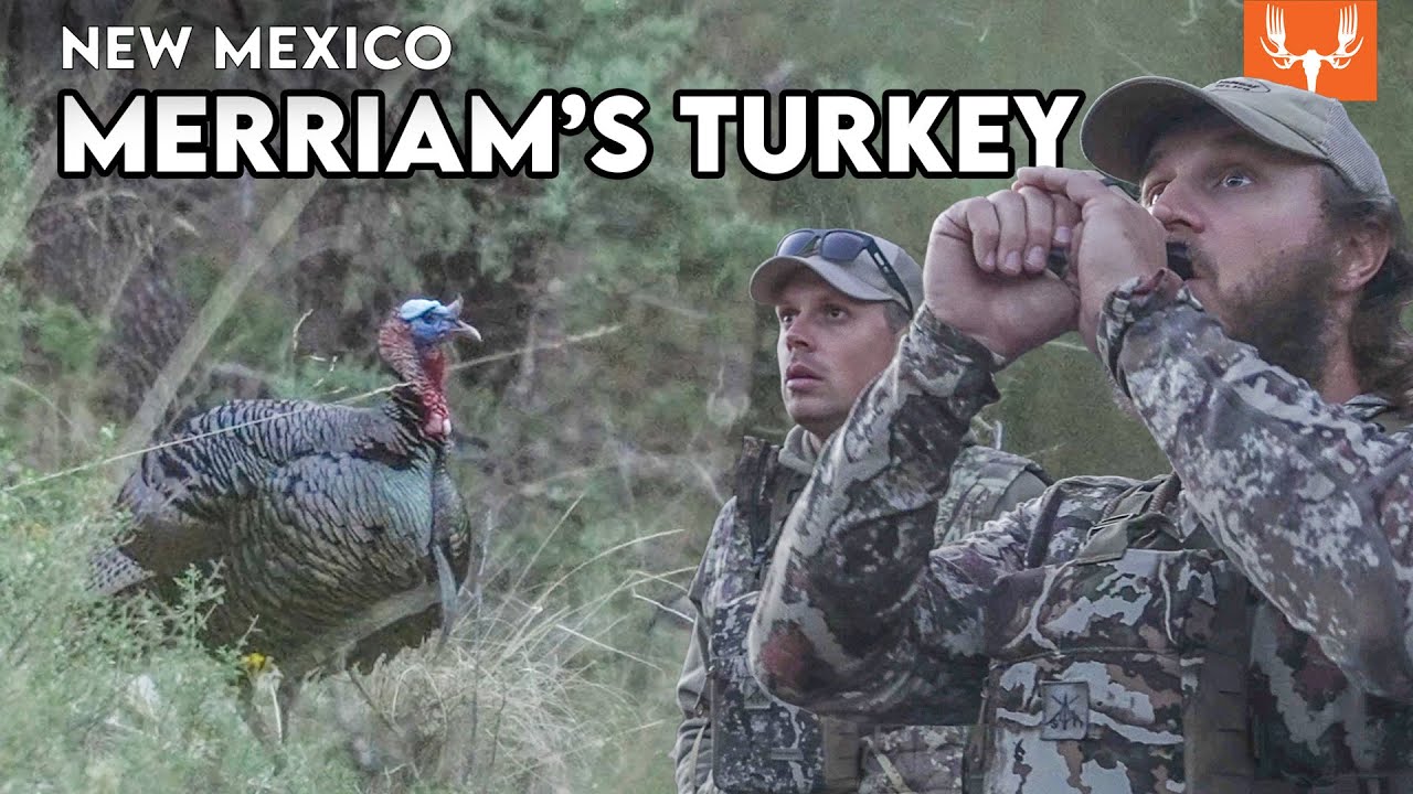 New Mexico Merriam's Turkey | The Element Season 2
