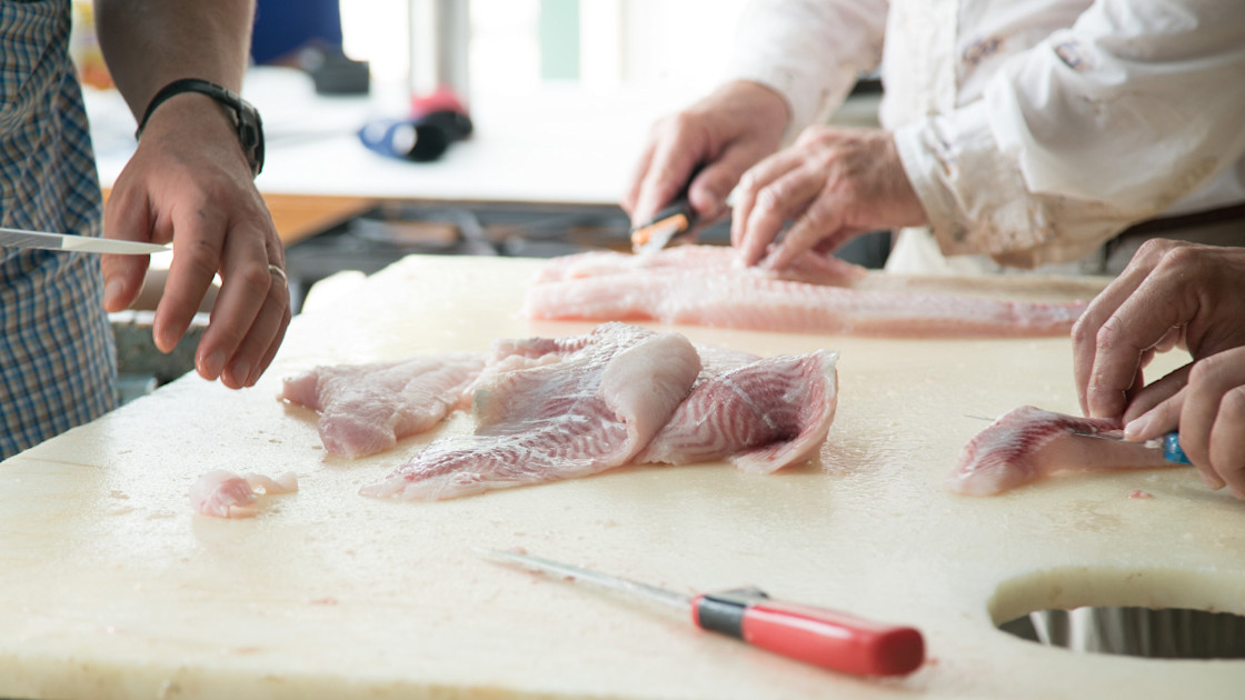 Michigan Eat Safe Fish Guide updated .. | Michigan Sportsman Forum