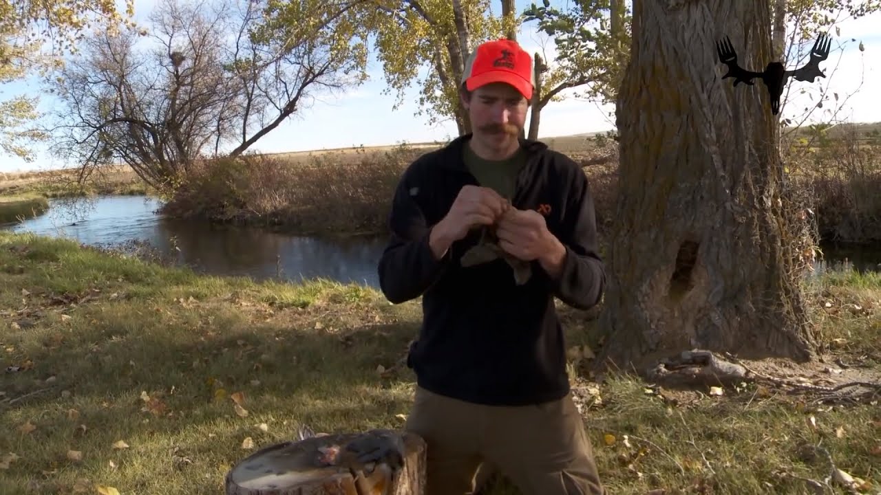 How To Clean A Quail with Ryan Callaghan