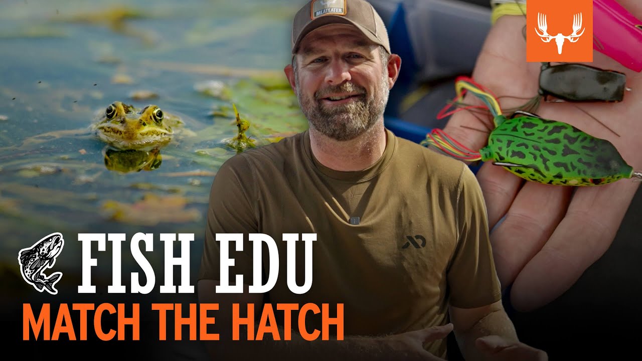 Match The Hatch | Fish EDU Season 1