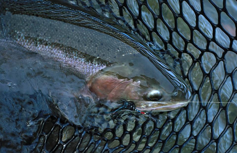 Getting Greasy: My Take on Greased Line Fishing | MeatEater Fishing