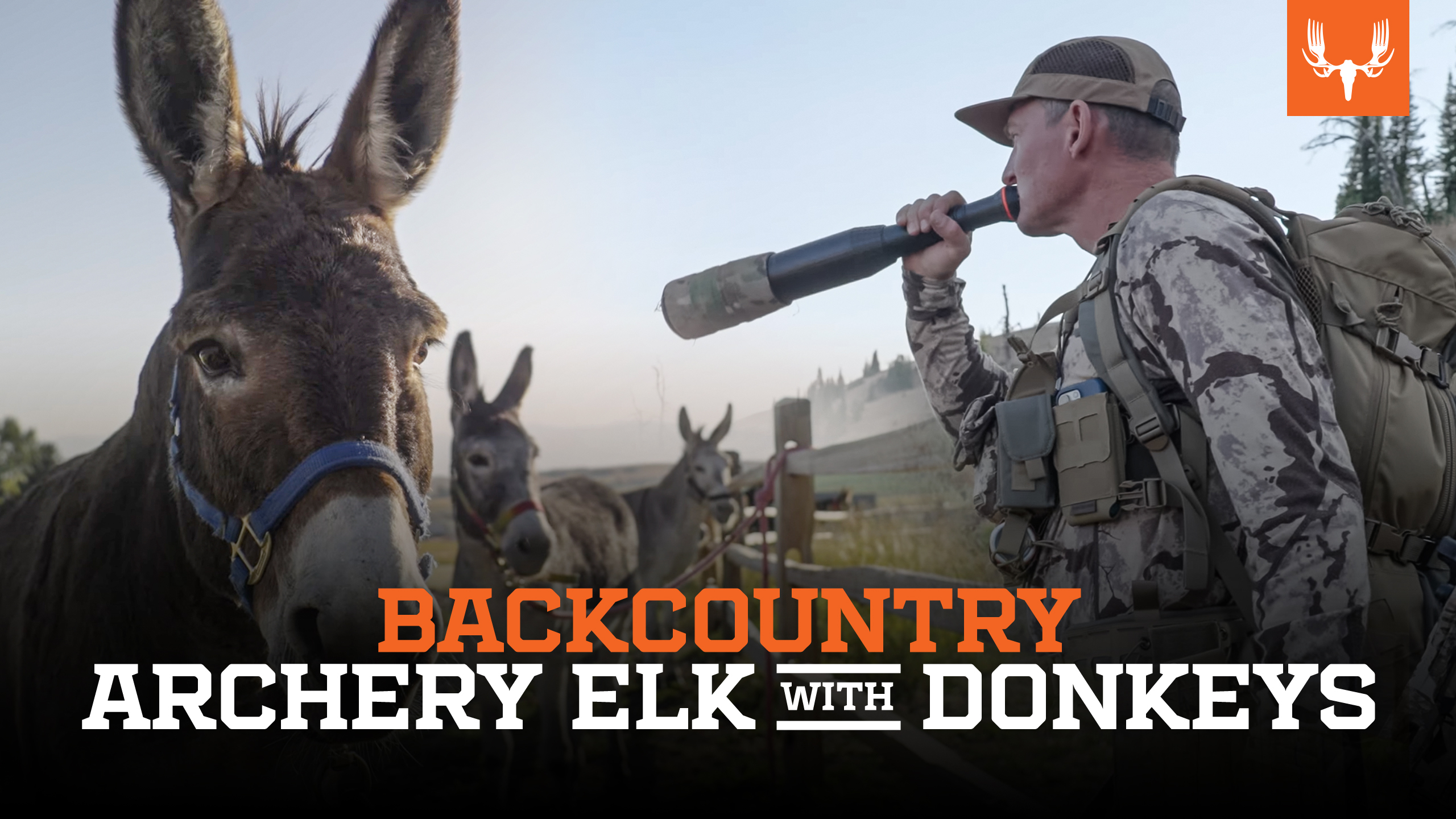 Backcountry Archery Elk with Donkeys | On The Hunt Season 4