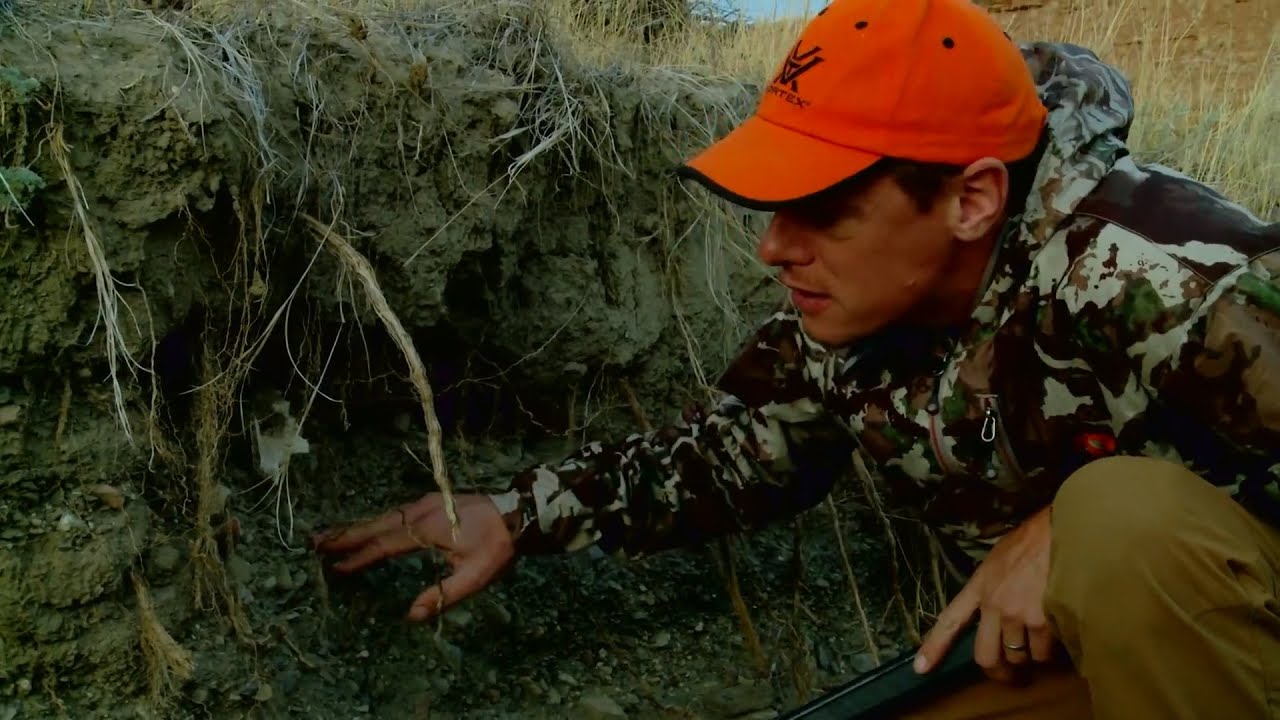 Steven Rinella on the Pronghorn Antelope