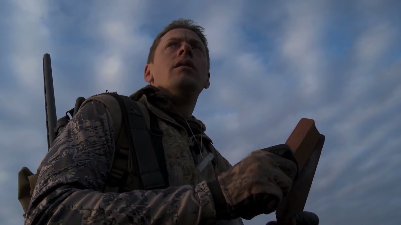 History of the American Wild Turkey - Conservation Field Notes with ...