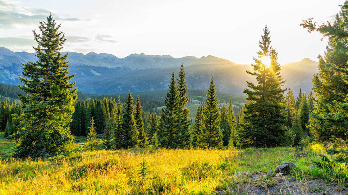 Bowhunter Accidentally Killed by Fellow Elk Hunter in Colorado ...