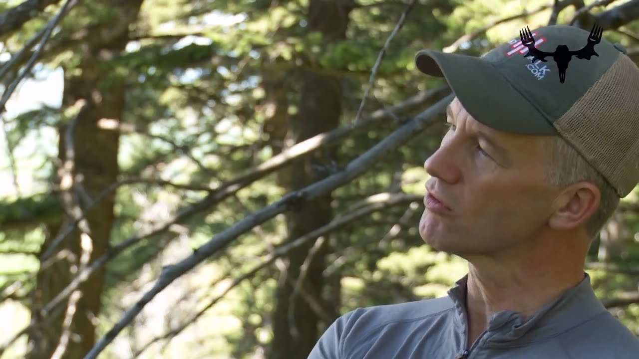 The Differences Between Over The Counter and Limited Availability Tags ...