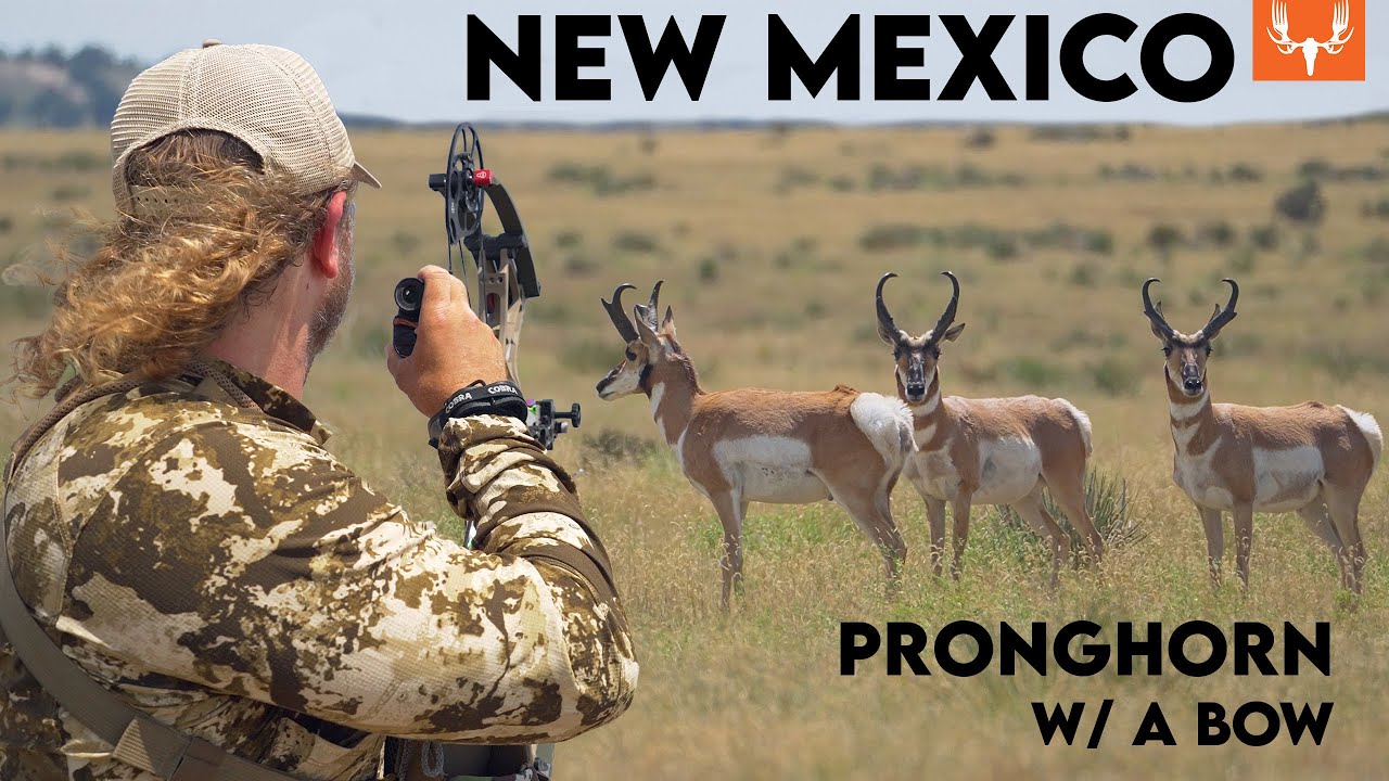 Bow Hunting New Mexico Pronghorn Antelope | The Element Season 2