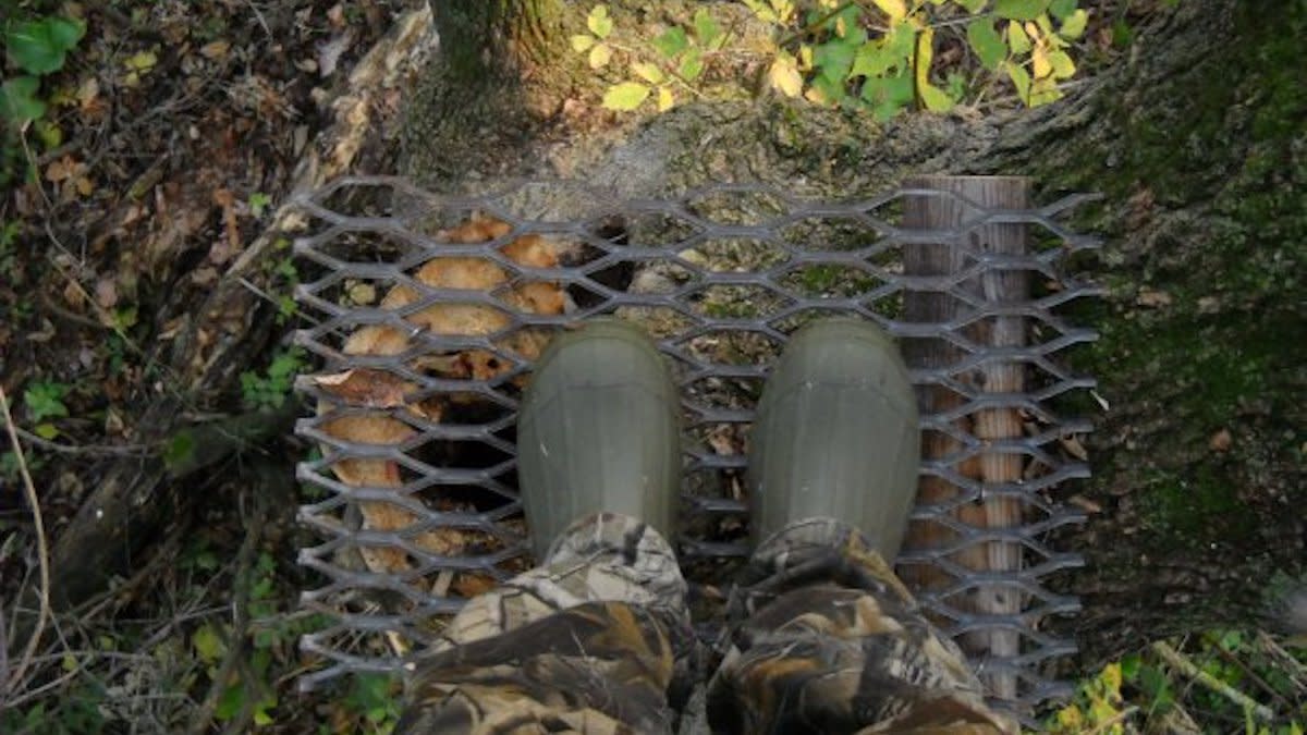 Tree Stand Setups for Imperfect Trees | MeatEater Wired To Hunt