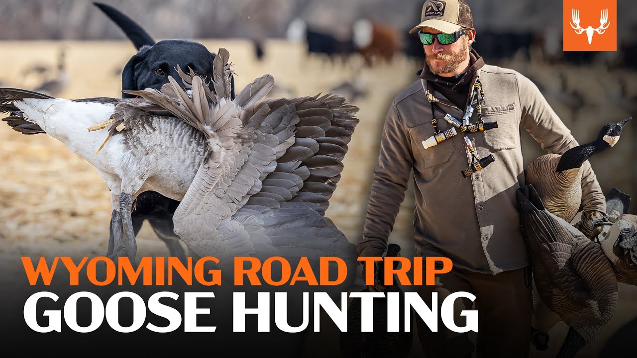 Central Wyoming Roadtrip | Waterfowl Hunting with Flying V Season 1
