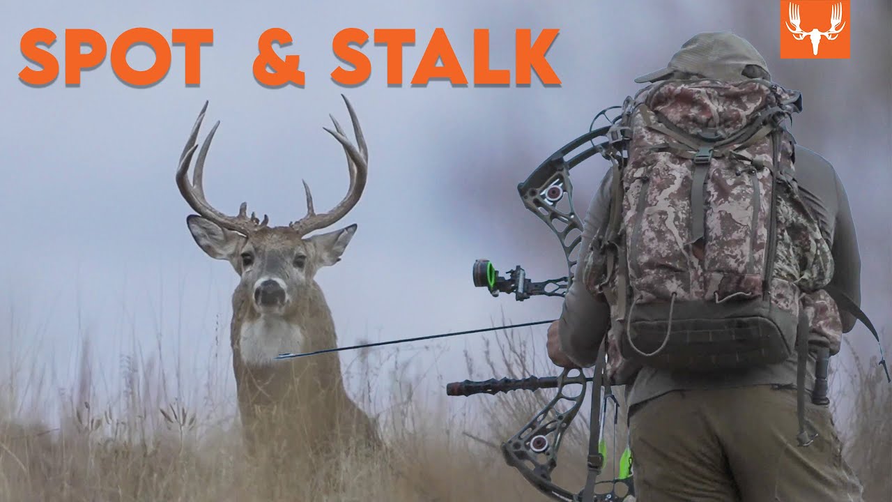Spot and Stalk Deer on The Plains | The Element Season 2