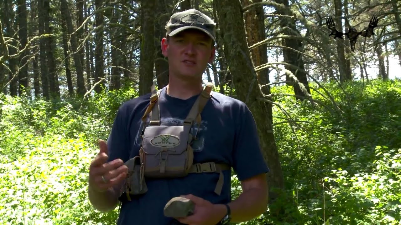 How to Hang a Bear Bag