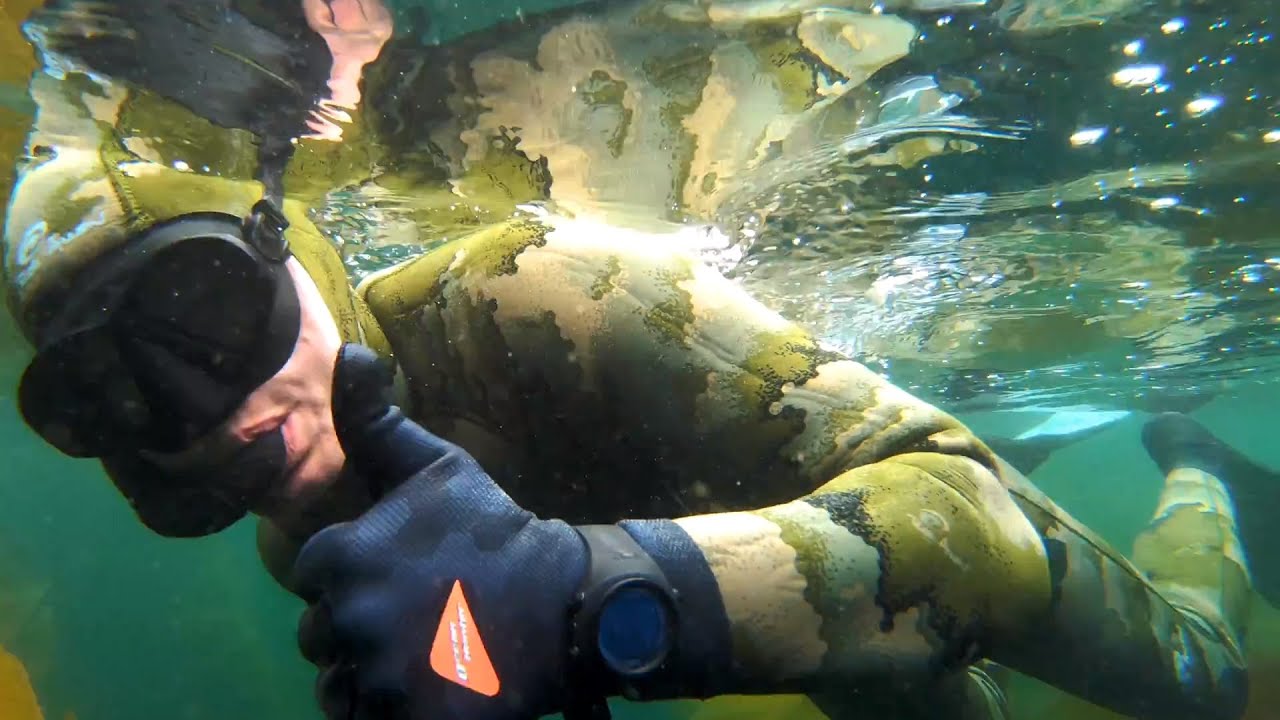 Spearfishing with Steven Rinella and Janis Putelis | MeatEater Hunts ...