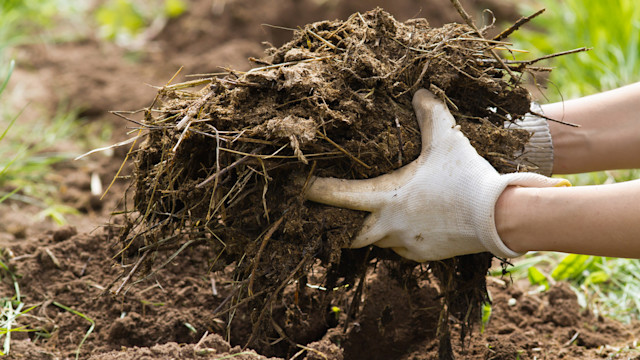 How to Make Garden Fertilizer Out of Bones | Wild + Whole