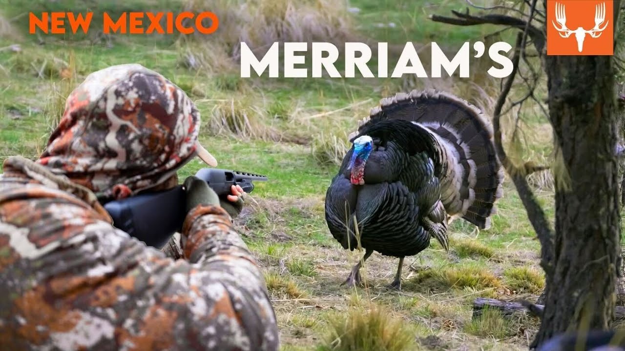 Chasing Mountain Birds | Merriam’s Turkey | The Element Season 3