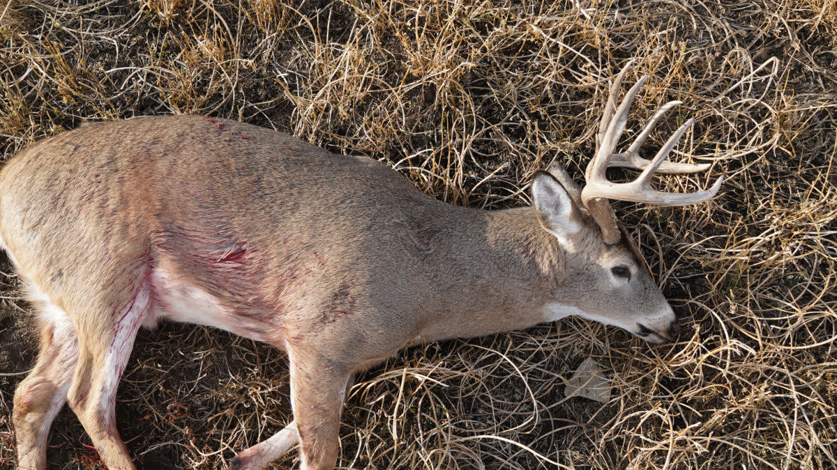 The Best Straight-Wall Cartridge for Whitetail Hunting | MeatEater ...