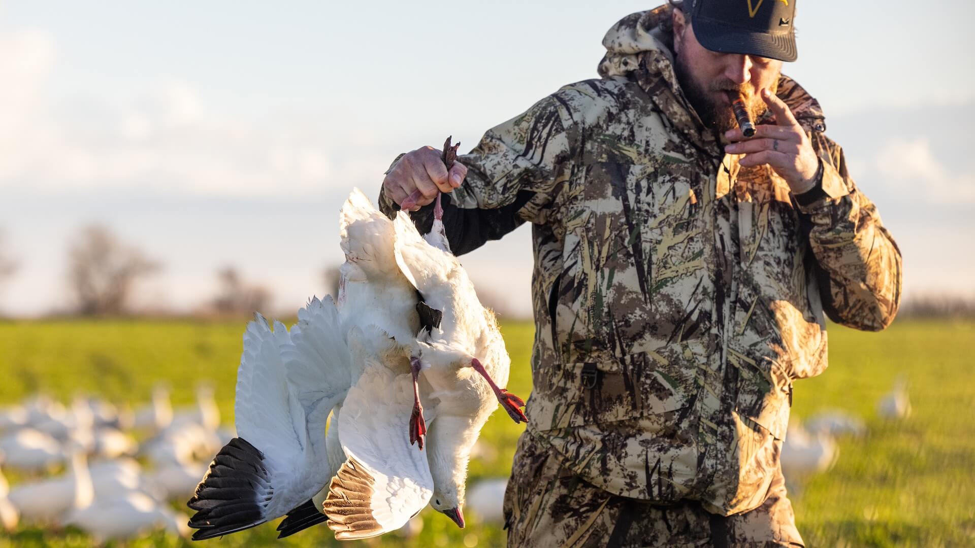 Flying V Waterfowl