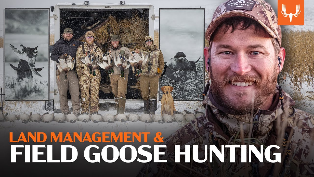 Land Management & Field Goose Hunting | Waterfowl Hunting with Flying V ...