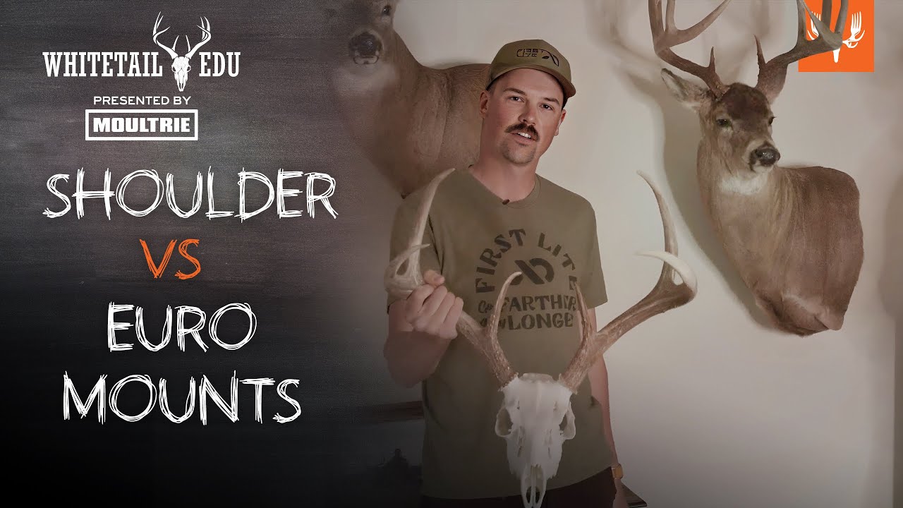 Shoulder VS Euro Mounts | Whitetail EDU Season 1