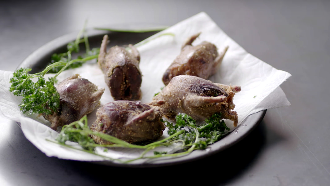 Fried Whole Mourning Doves | MeatEater Cook