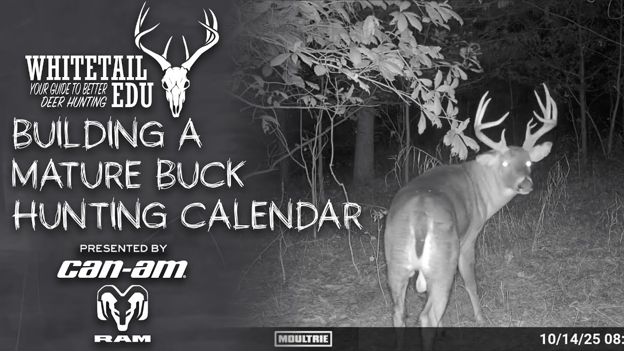 The Secret to Predicting Mature Buck Movement All Season | Whitetail ...