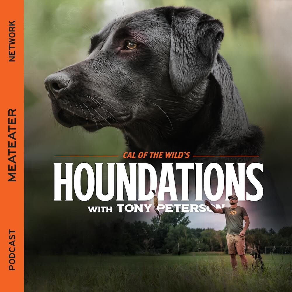 Cal of the Wild: Houndations | MeatEater Podcasts
