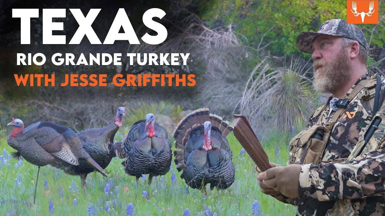 Turkey Hunting Texas-Style with Jesse Griffiths | The Element Season 2