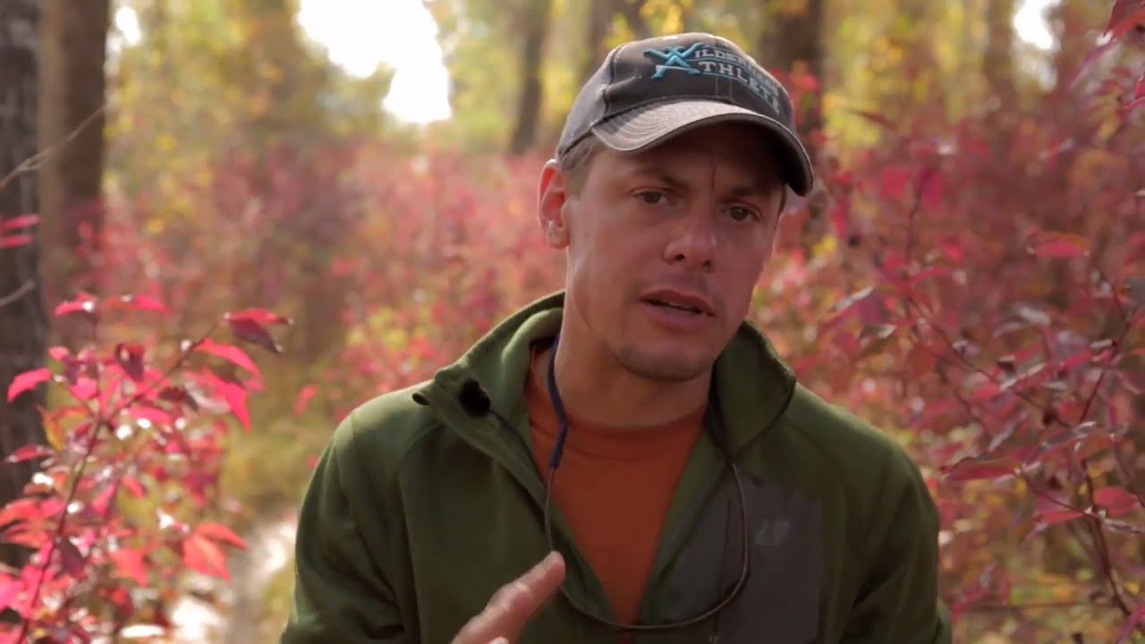 Improving Hunting Access - Conservation Field Notes with Steven Rinella