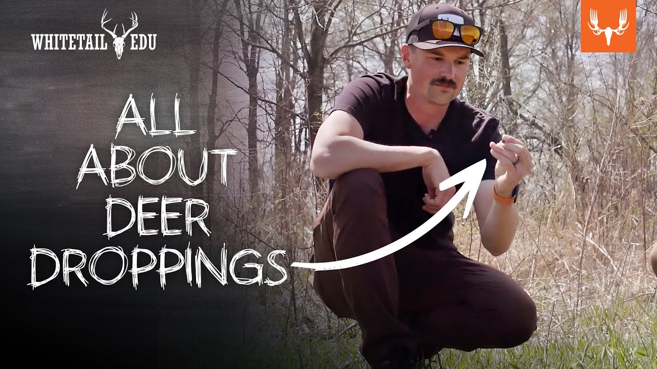 All About Deer Droppings | Whitetail EDU Season 1