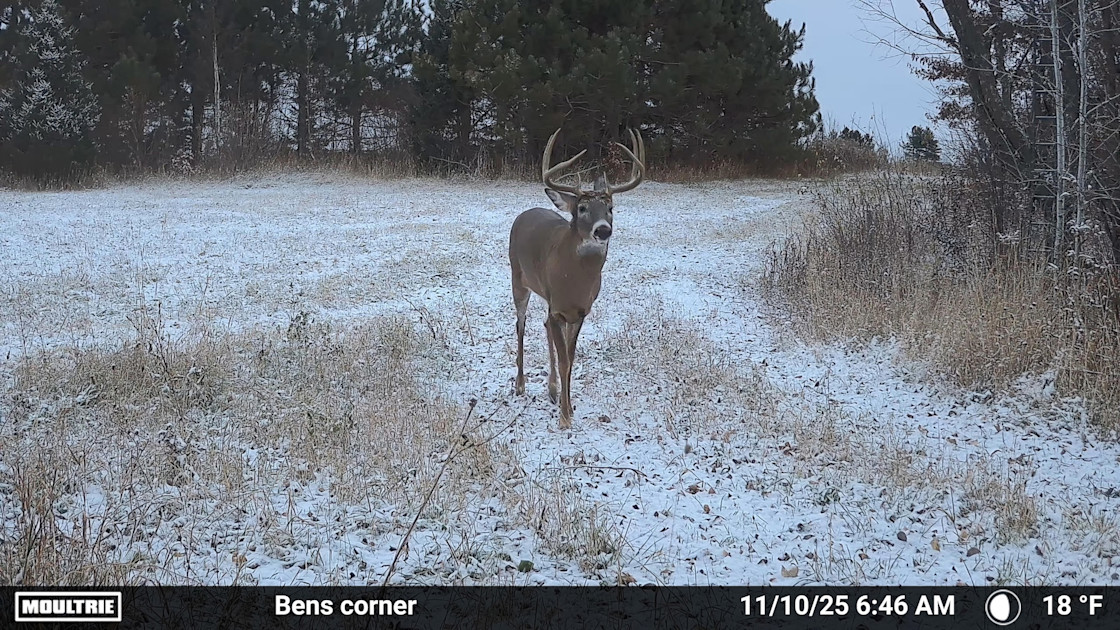 How Trail Cameras Made Me A More Patient Buck Hunter | MeatEater Wired ...