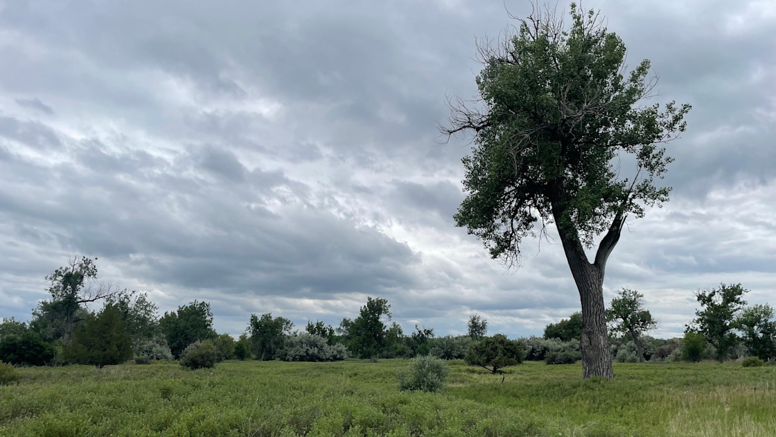We Need Your Help to Make Wildcat Bend a Wildlife Management Area ...