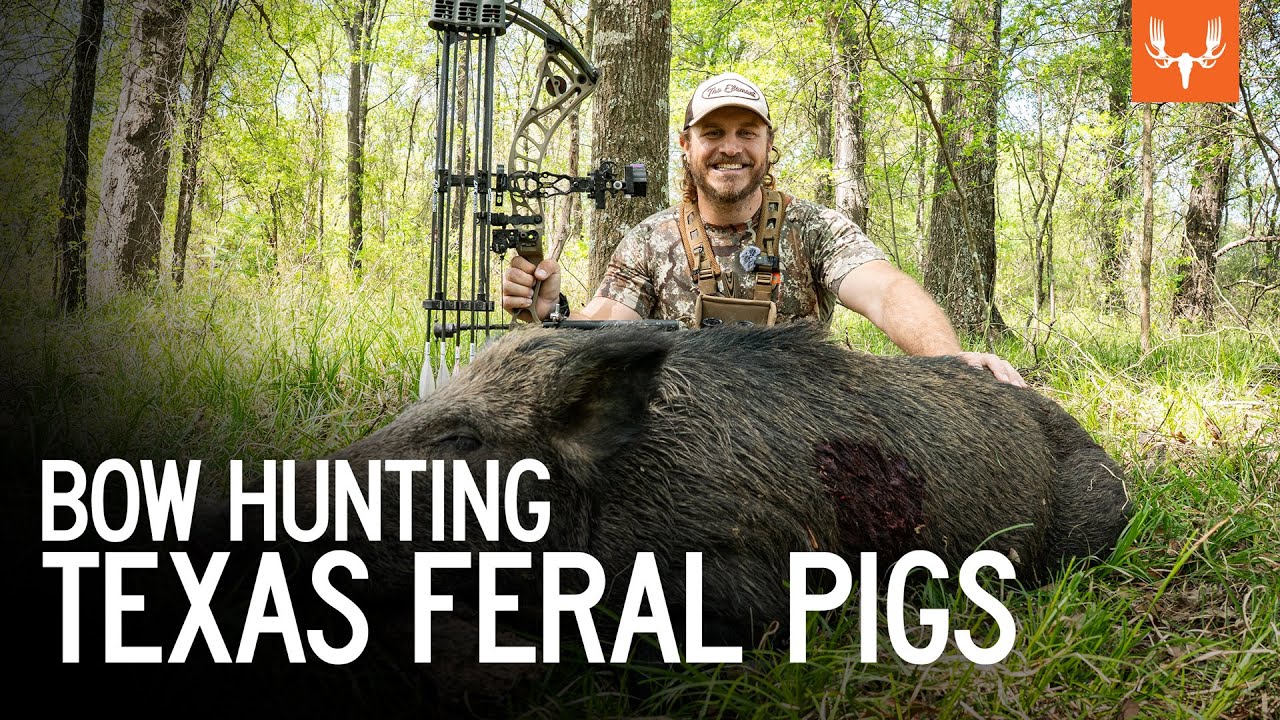 Carnitas Hog | Bow Hunting Texas Feral Pigs | The Element Season 3