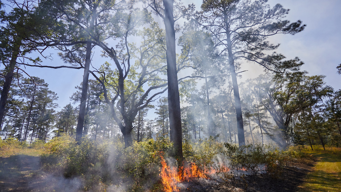 3 Hell Raisin' Conservation Tips for Hunters and Anglers | MeatEater ...