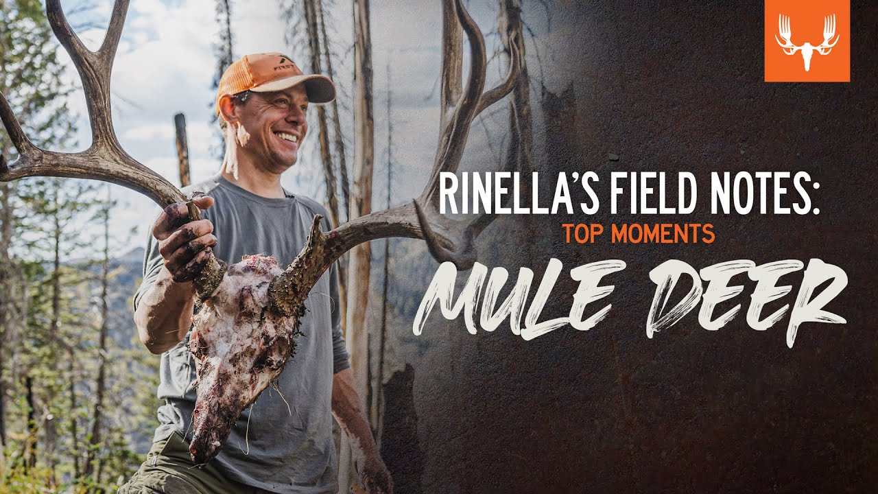 Steve's Greatest Mule Deer Hunts | Rinella's Field Notes Season 1