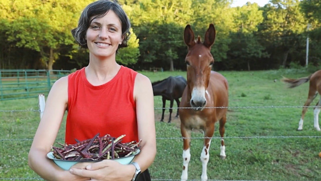 Video: Misty Newcomb Joins Wild + Whole | Wild + Whole