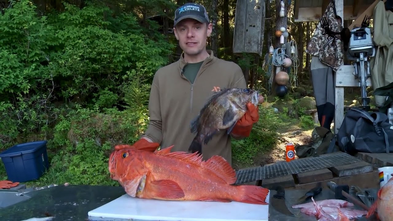 How To Clean and Fillet a Rockfish