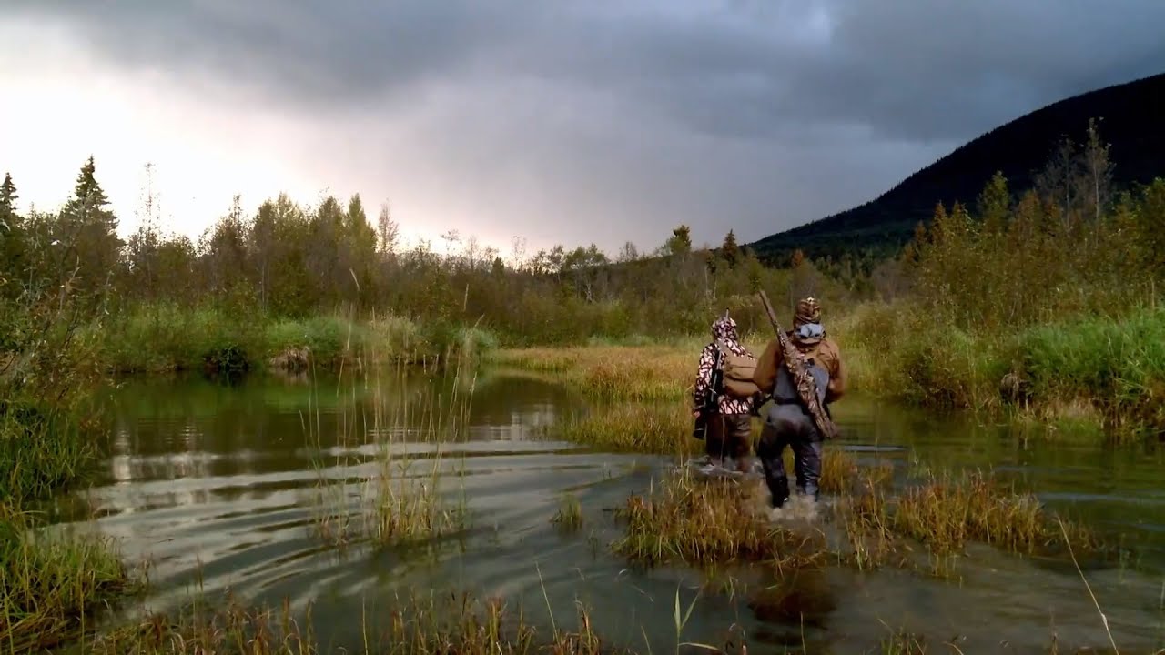 Bull By Boat: British Columbia Moose | MeatEater Season 4