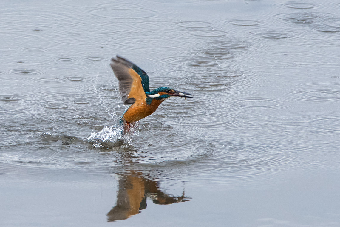 From wanderlust to a love for my homeland