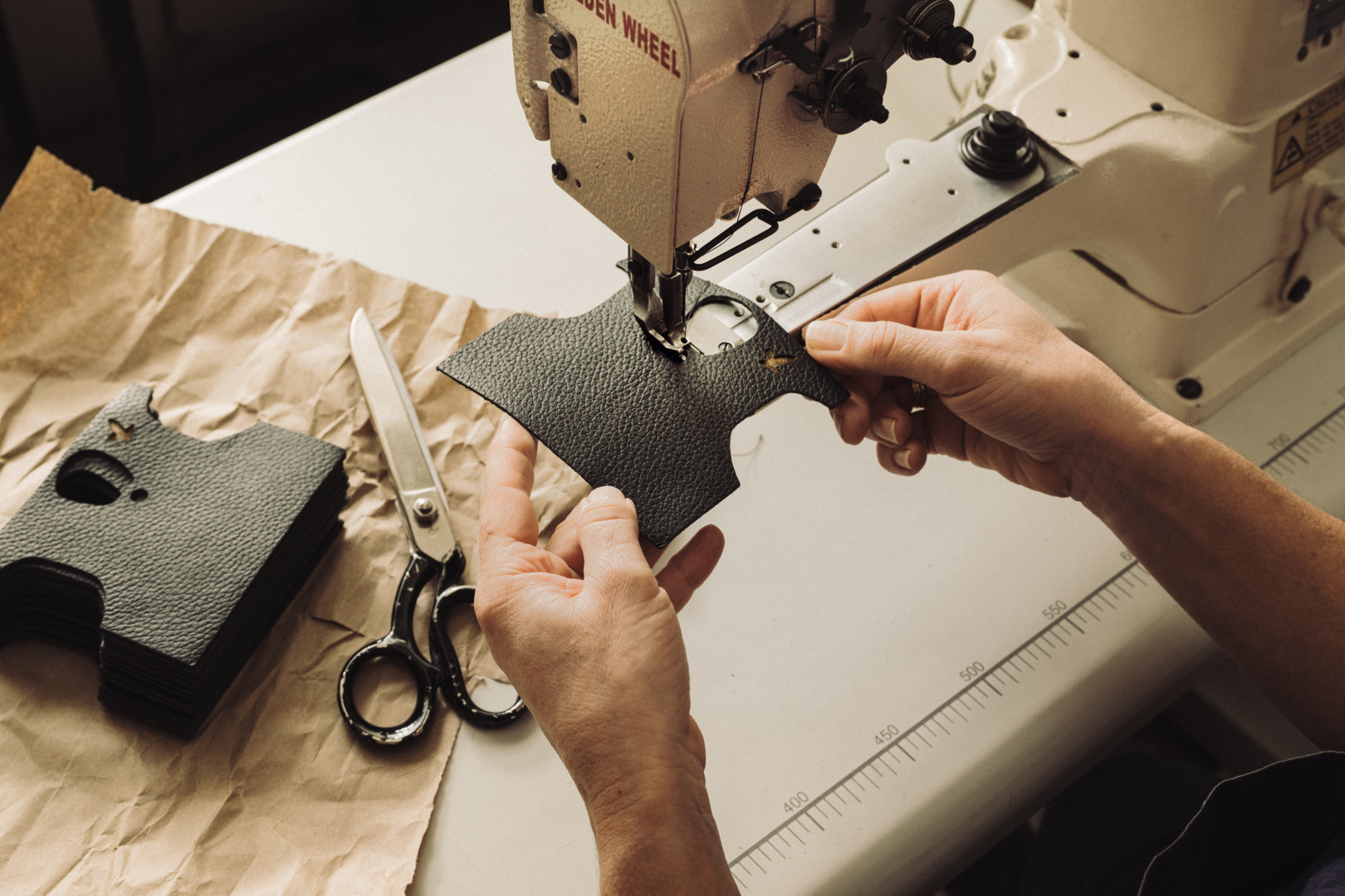 CL Companion Habicht