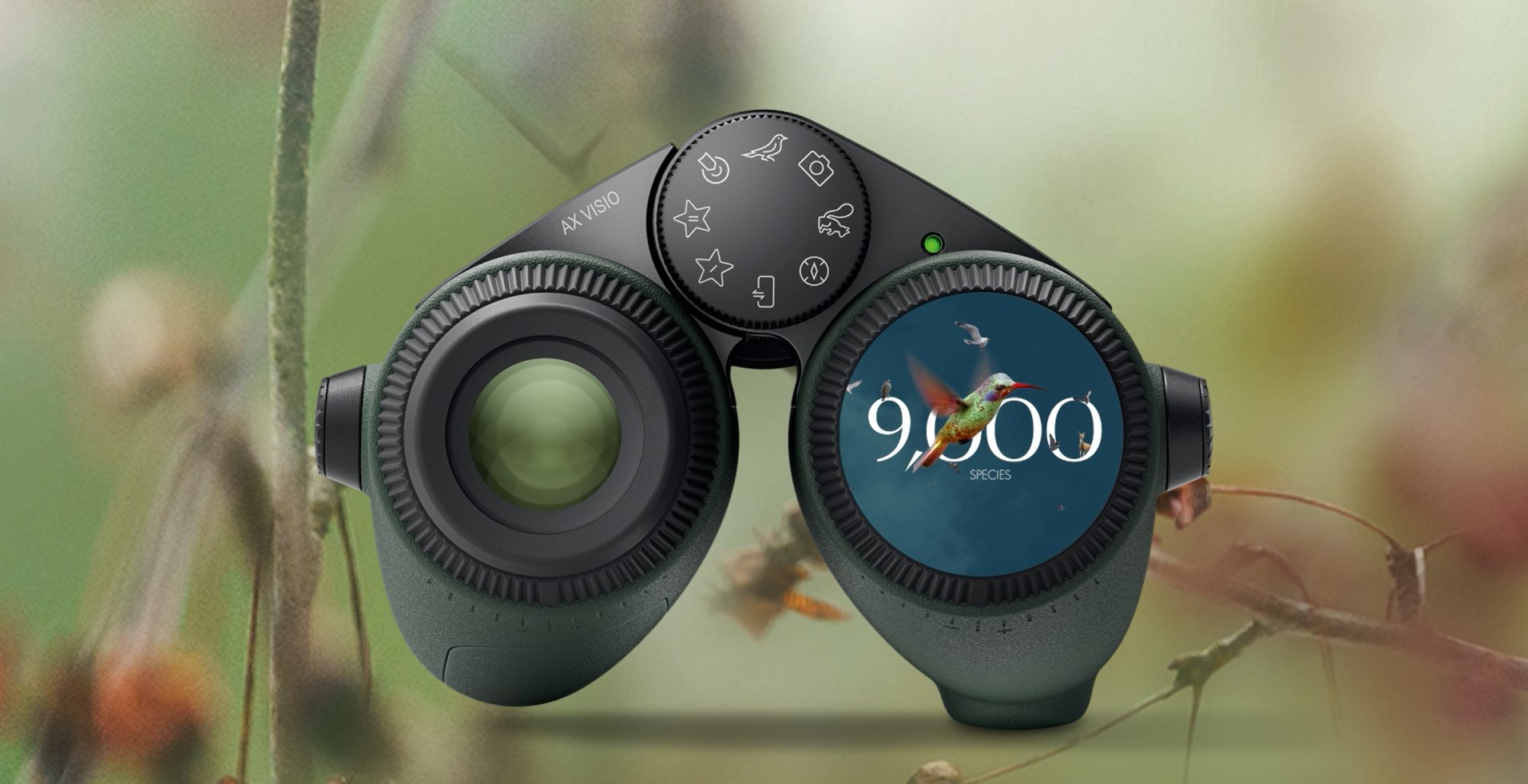 Meet our female team for the Swiss Bird Race 2025