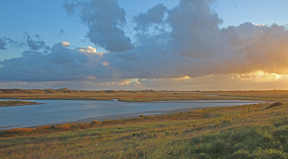 The international bird airport at Zwin Nature Park