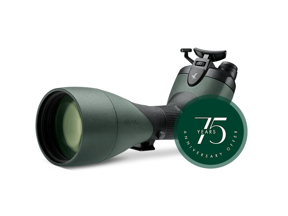 BTX 35x115 - SWAROVSKI OPTIK